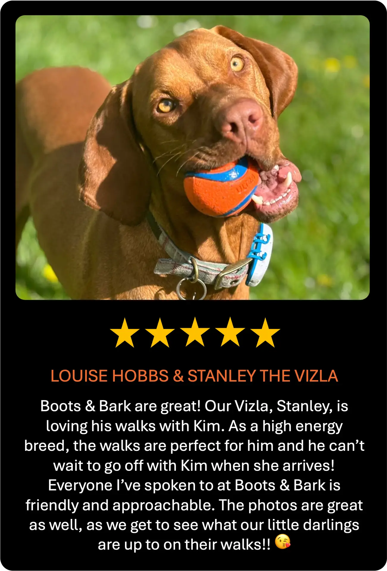 Boots and Bark – Hertfordshire Dog Walkers